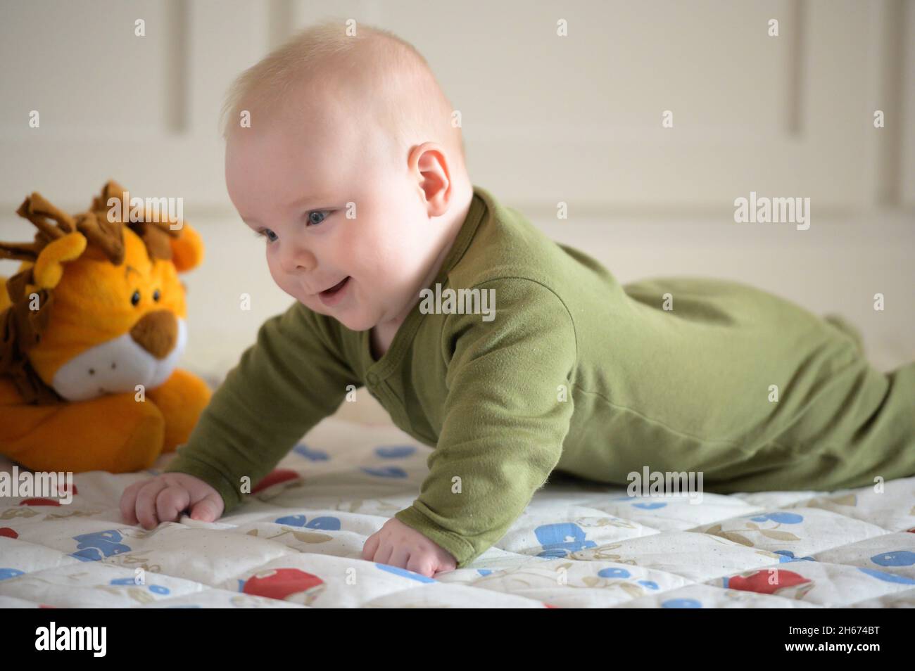 Adorable baby boy learning to crawl Stock Photo - Alamy