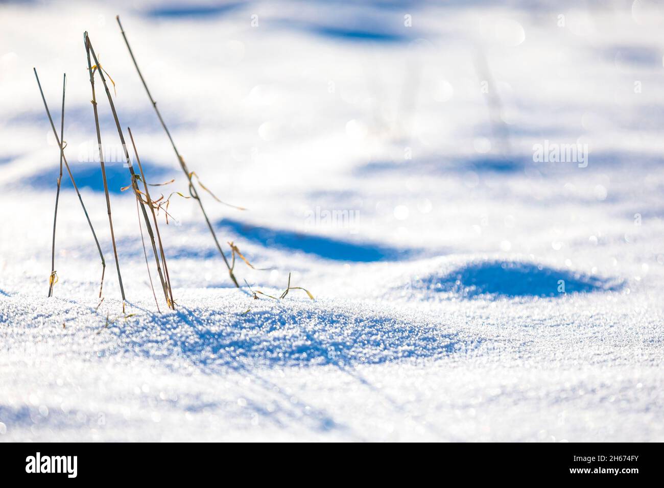 Pure snow texture cold winter hi-res stock photography and images - Alamy
