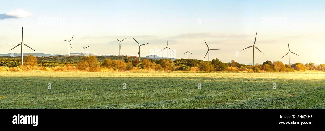 Panoramic photo of multiple wind turbines and agricultural field in ...