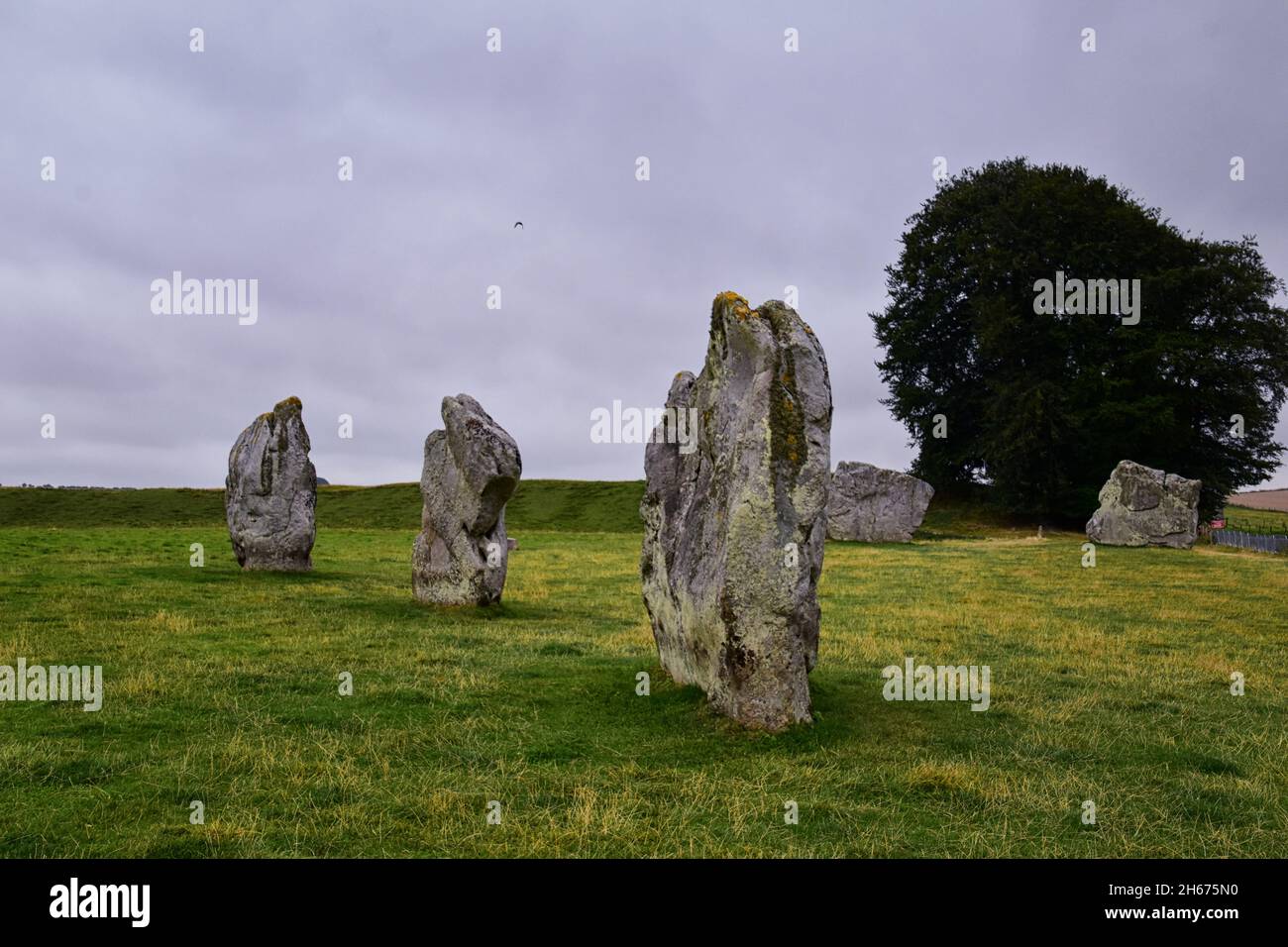Avebury museum neolithic stone hi-res stock photography and images - Alamy