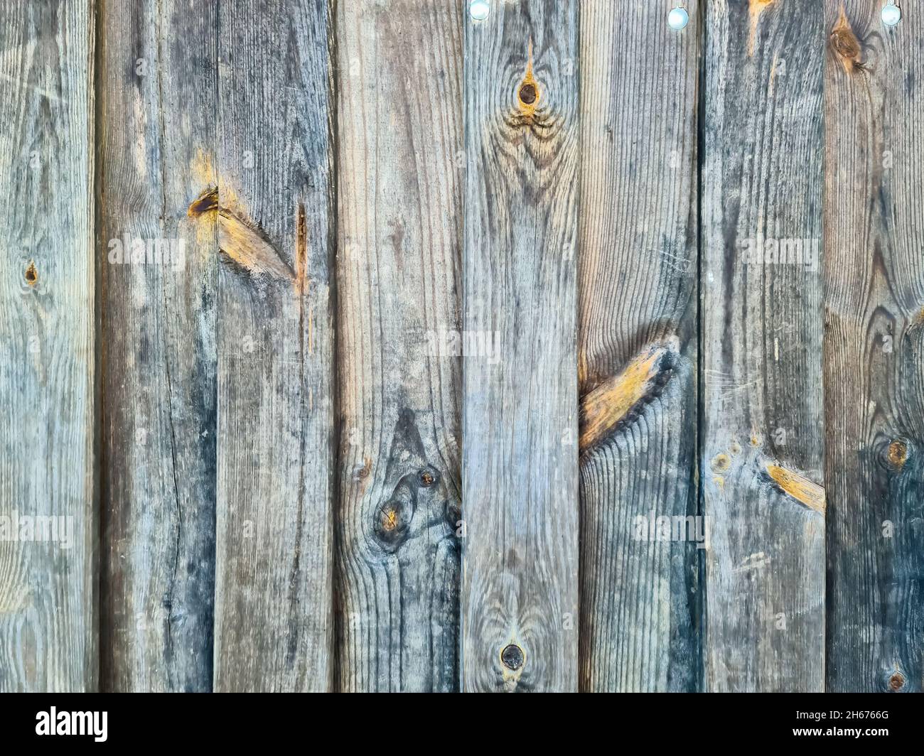 Close up view on different wooden plank surfaces in high resolution ...