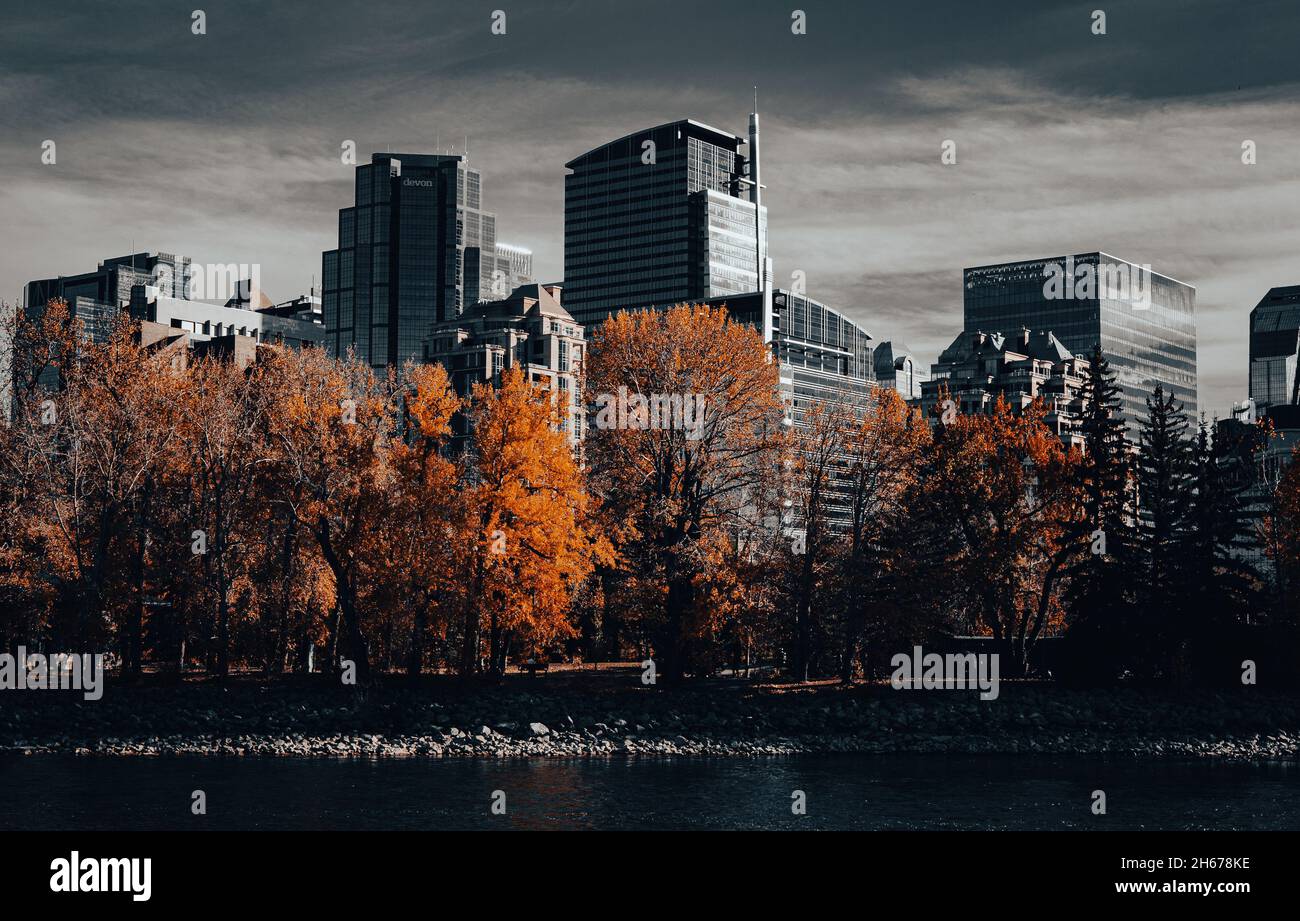 Landscape photograph of buildings in downtown Calgary along with some ...