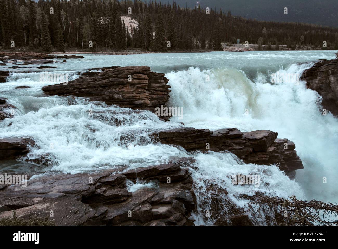 Overflowing Athabasca Falls early summer. Rushing water over rocks with ...