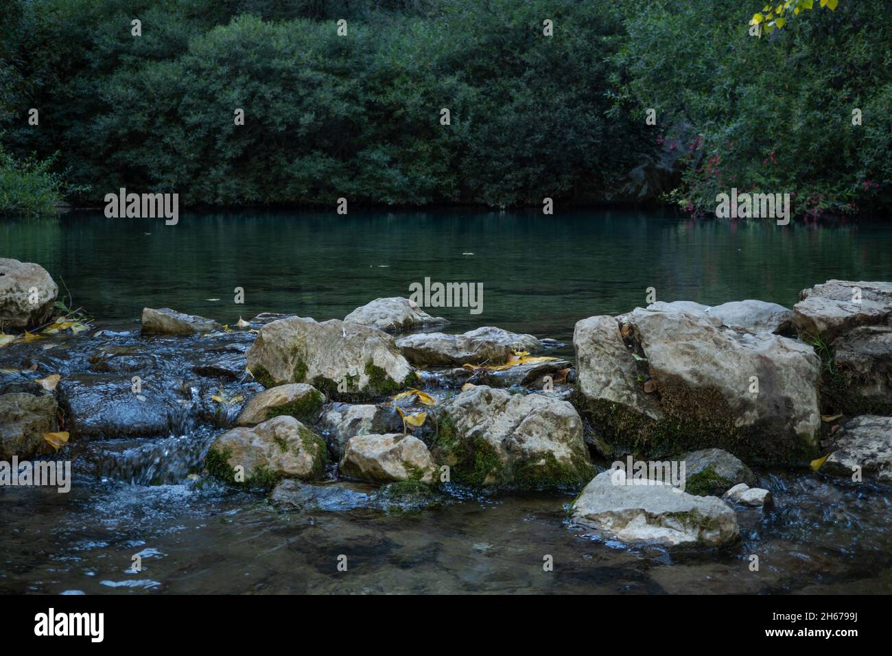 Beautiful landscape of a river in Guadiaro, Spain Stock Photo - Alamy