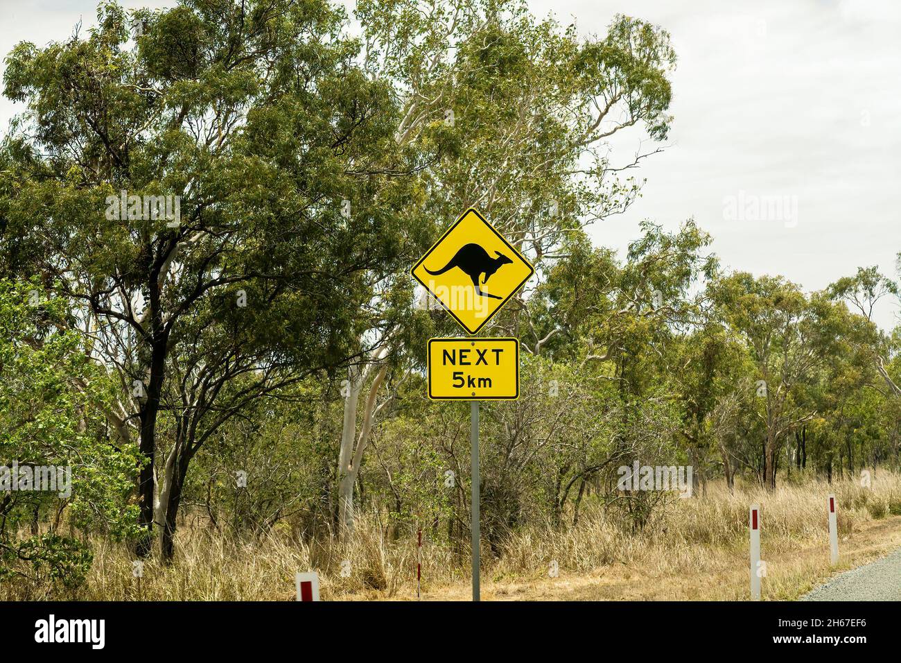 Beware of kangaroos on road for next 5 kilometers road sign in the ...