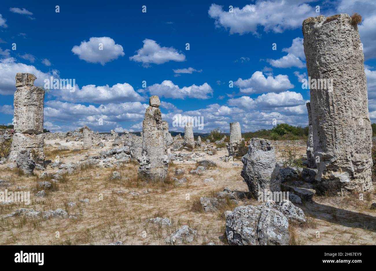 Stone columns in Pobiti Kamani rock formations area called Stone Desert ...