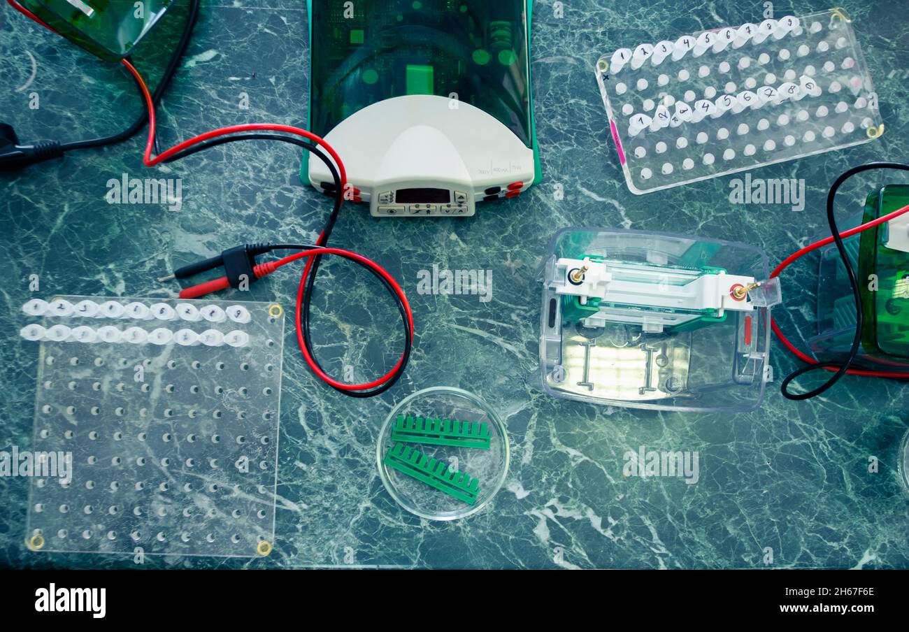 The laboratory instruments are laid out on the work table, test tubes ...