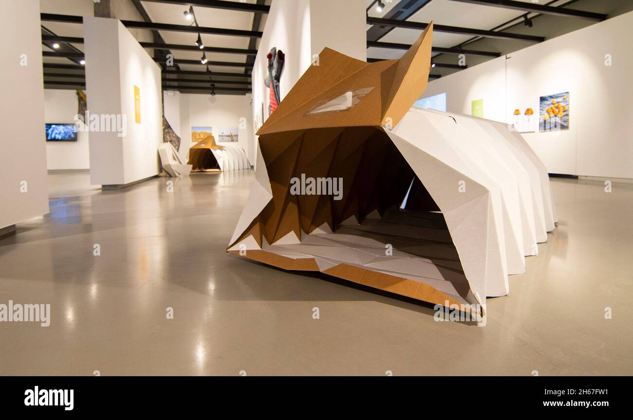 Toronto. 13th Nov, 2021. Photo taken on Nov. 13, 2021 shows a folded ...