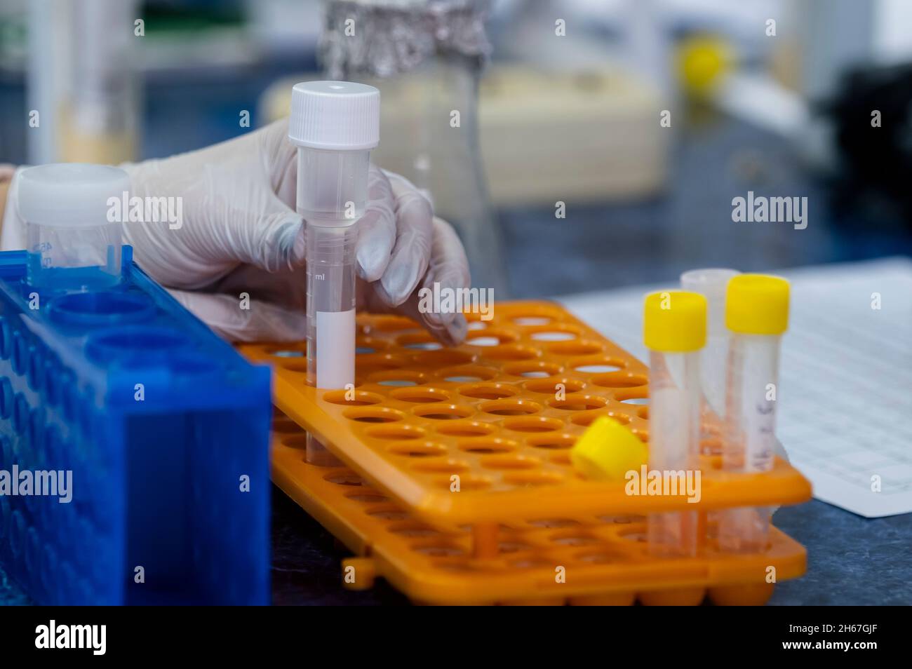 A gloved hand holds a plastic tube with a filter inside over a rack ...