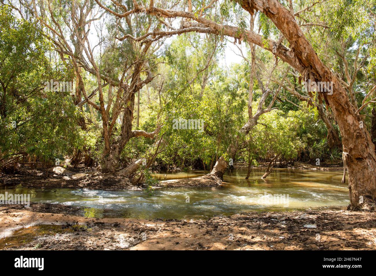 The Roper river at Mataranka ,Northern territory, Australia Stock Photo ...