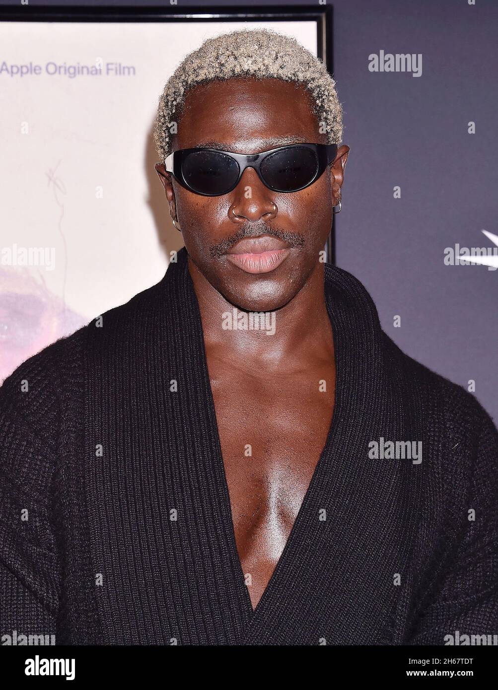 HOLLYWOOD, CA - NOVEMBER 12: Actor Moses Sumney attends the 2021 AFI ...