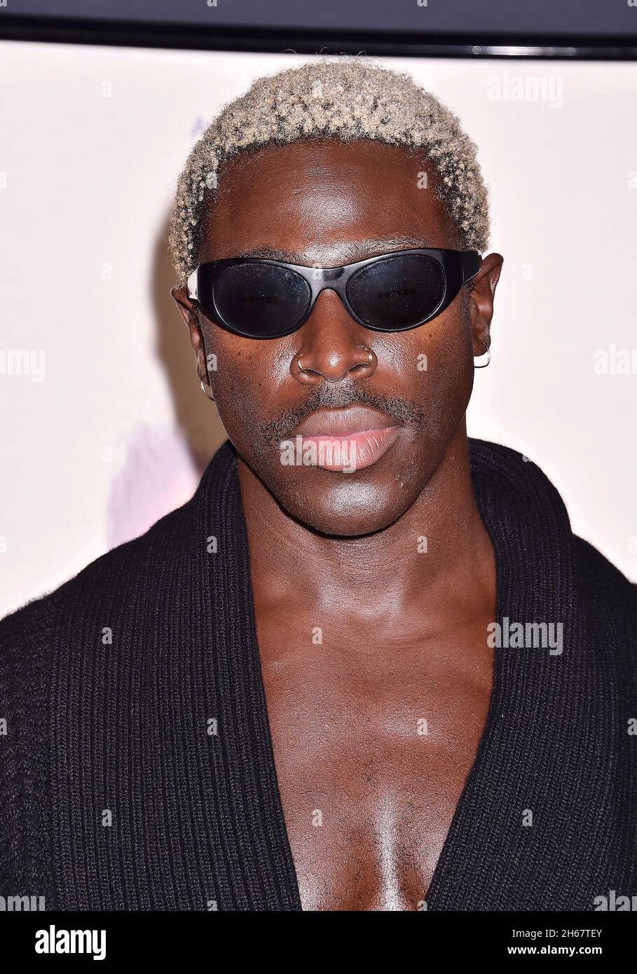 HOLLYWOOD, CA - NOVEMBER 12: Actor Moses Sumney attends the 2021 AFI ...