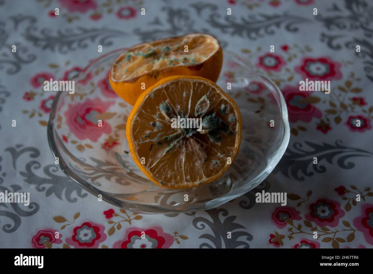 Moldy lemon on a shiny tea plate with a plastic flower capped ...
