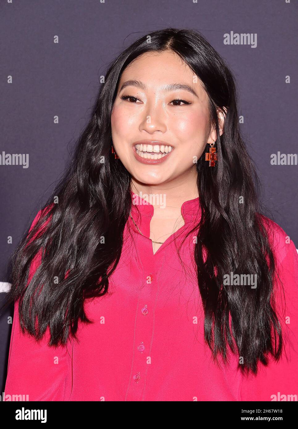 HOLLYWOOD, CA - NOVEMBER 12: Actress Awkwafina attends the 2021 AFI ...
