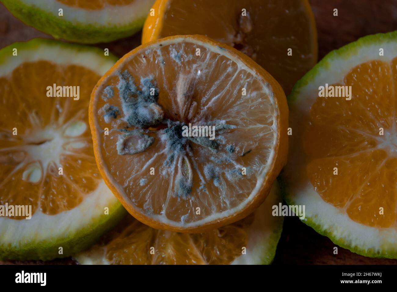 Rotten lime hi-res stock photography and images - Alamy