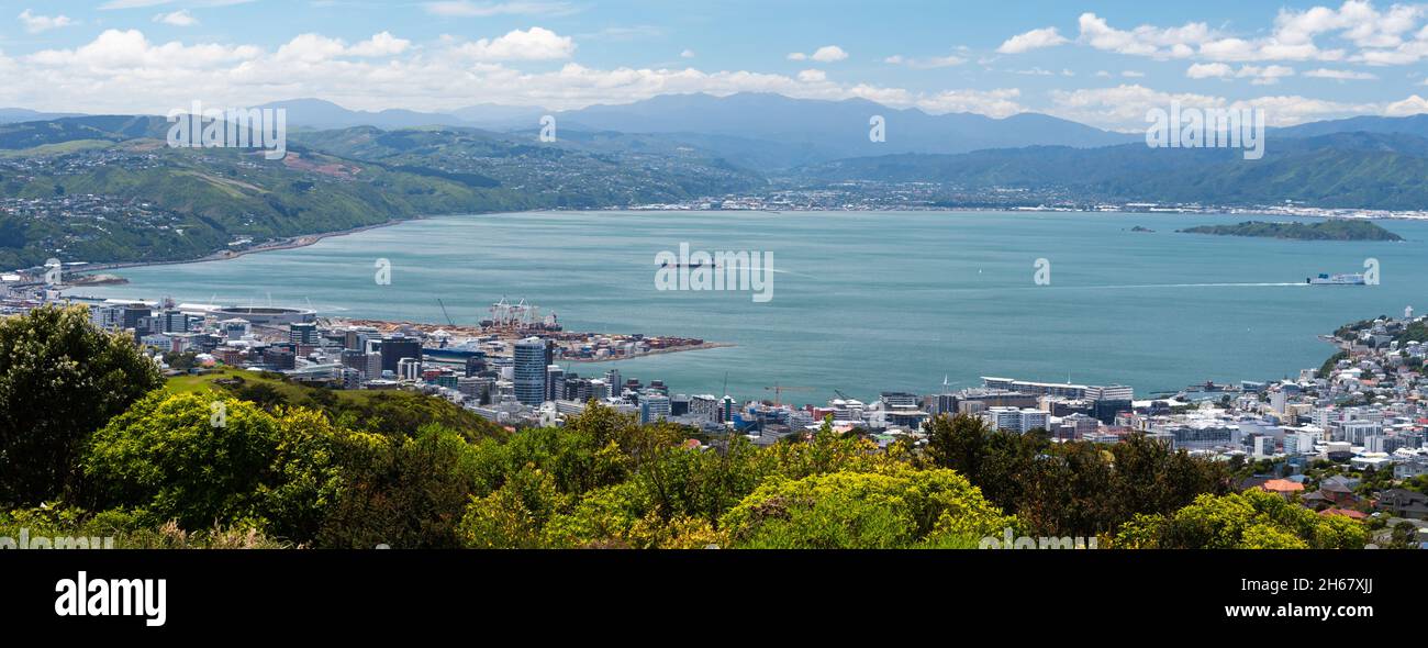 Panorama of Wellington from Hawkins Hill showing the harbour Stock ...