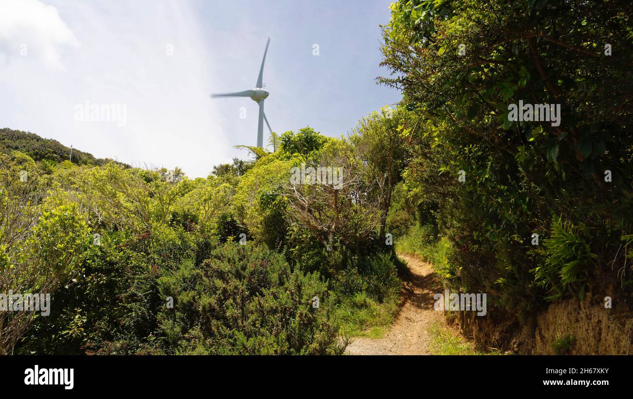Wellington wind hi-res stock photography and images - Alamy