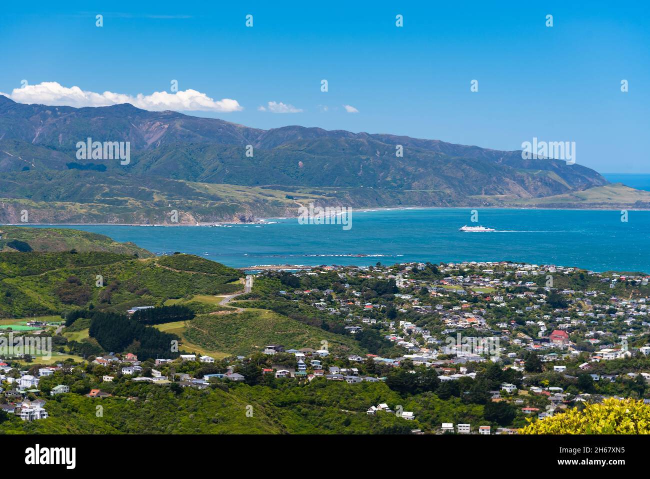 Panorama of Wellington, New Zealand from Hawkins Hill Stock Photo - Alamy