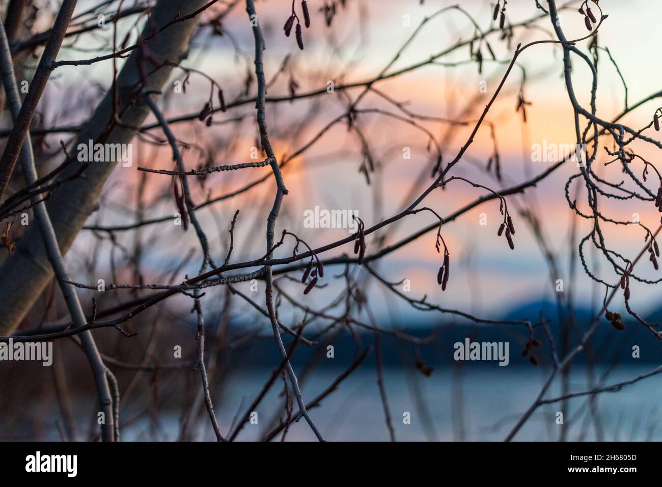 Beautiful September fall, autumn landscape image from northern Canada ...