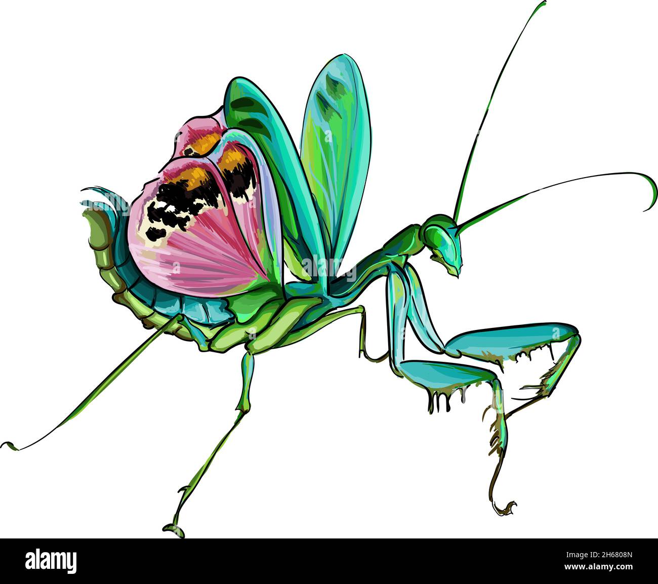 Mantis in a defensive position from multicolored paints. Splash of ...