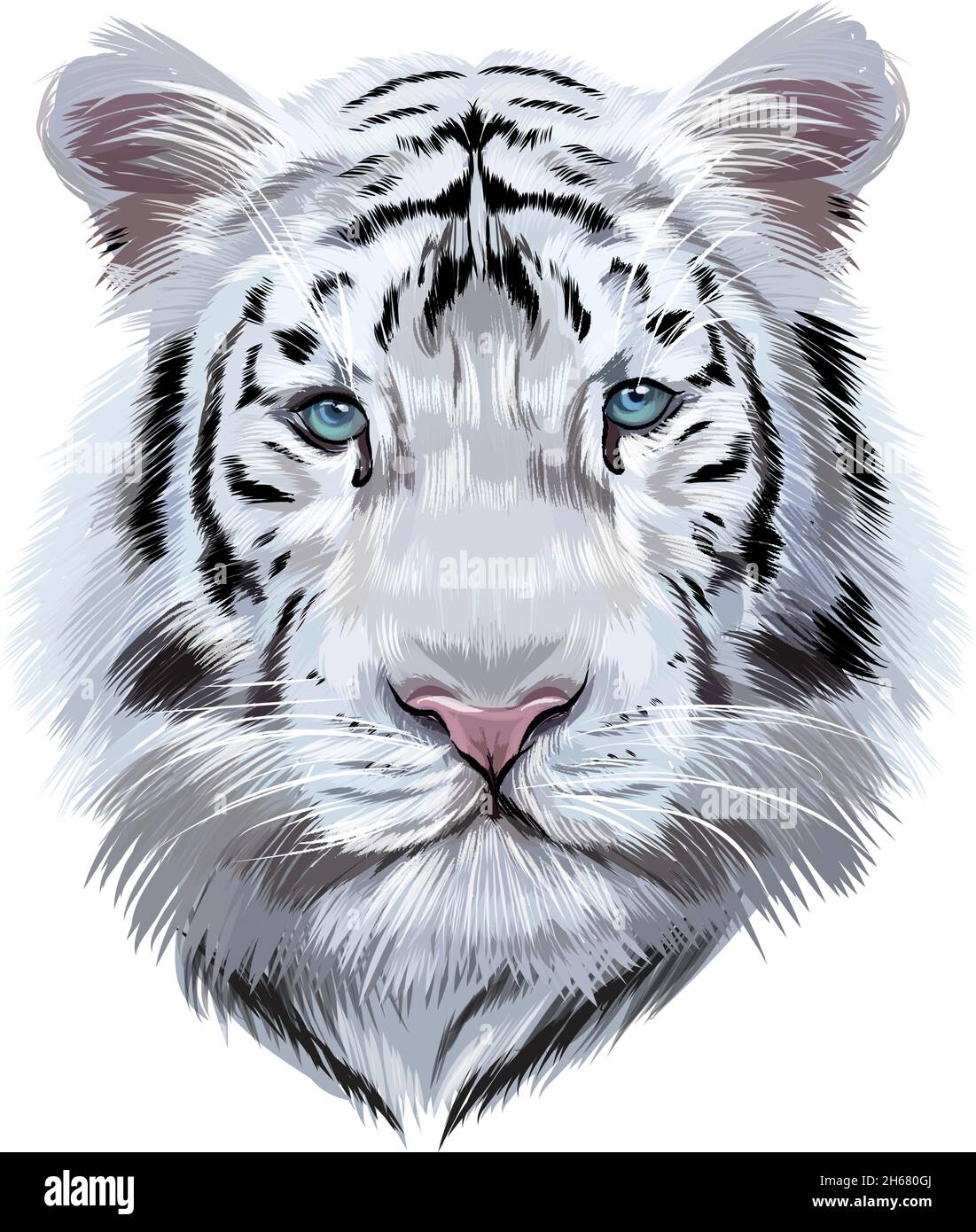 Tiger Drawing Face