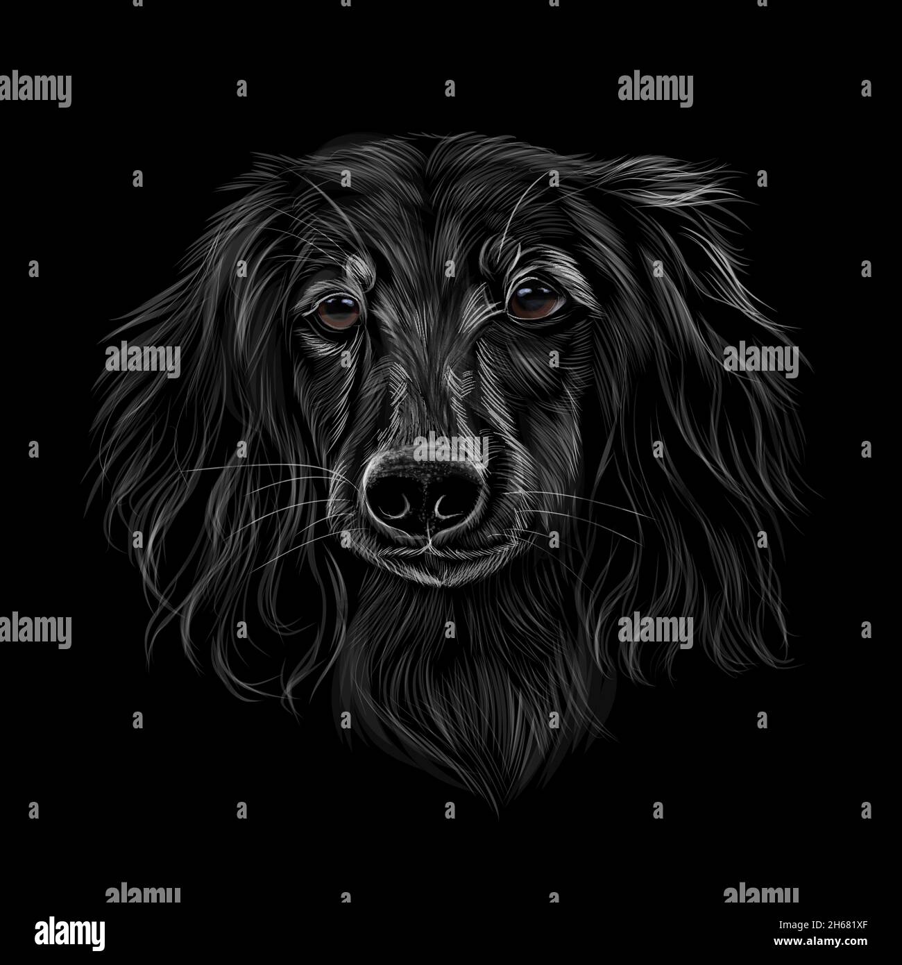 Dachshund head portrait on black background. Vector illustration of ...
