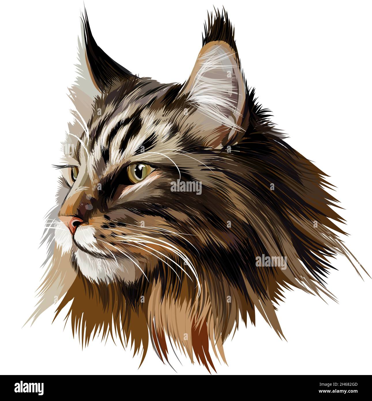 Realistic Cat Illustration How To Draw Cats 19 Easy Guides In One