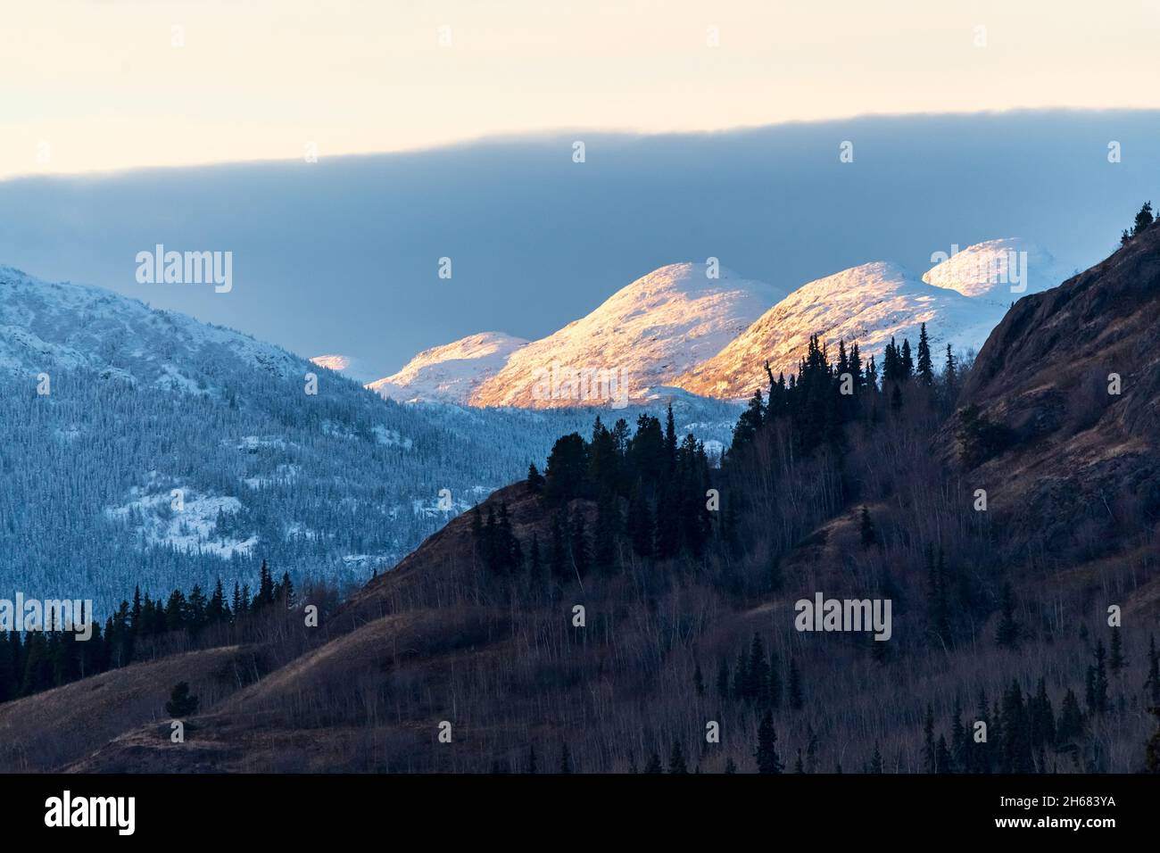 Stunning morning sunrise shot in northern Canada, with boreal forest ...