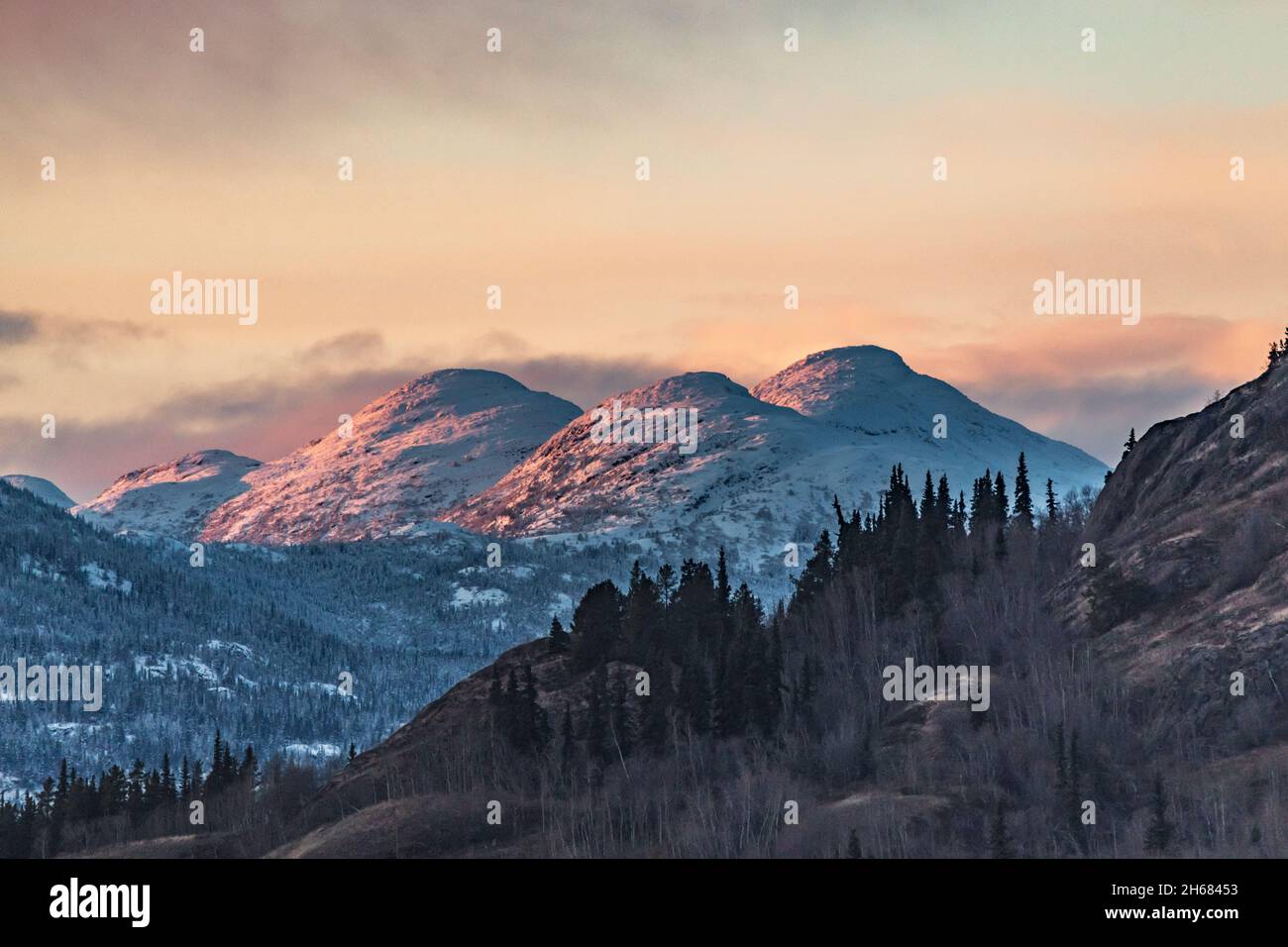 Stunning morning sunrise shot in northern Canada, with boreal forest ...