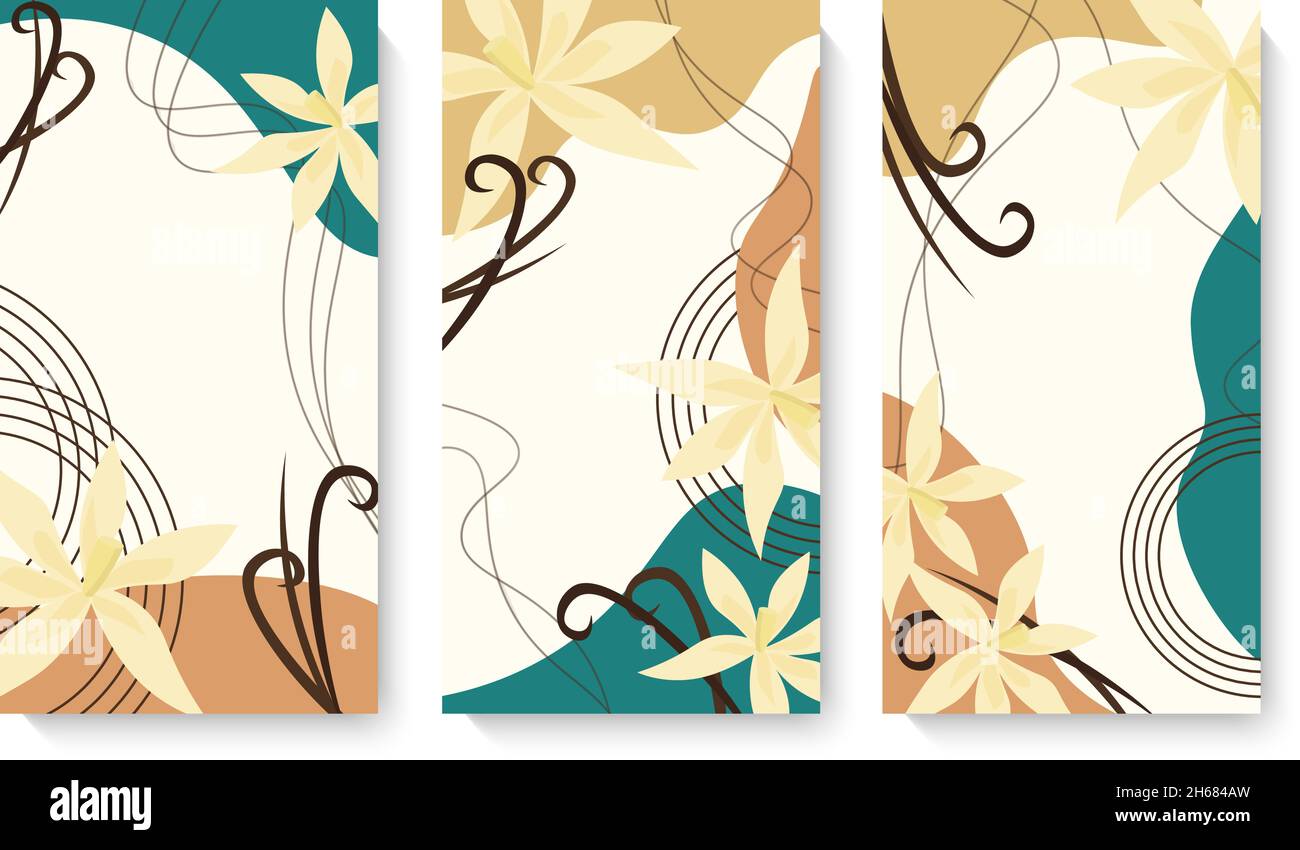 Set of card templates with abstract spots and vanilla flowers. Vector ...