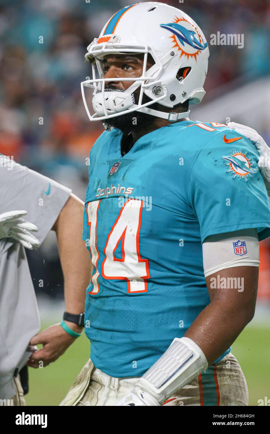 Dolphins jacoby brissett hi-res stock photography and images - Alamy