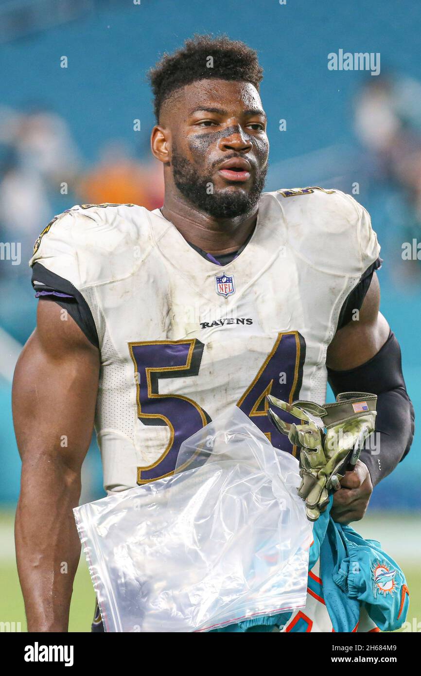 Bowser hi-res stock photography and images - Alamy