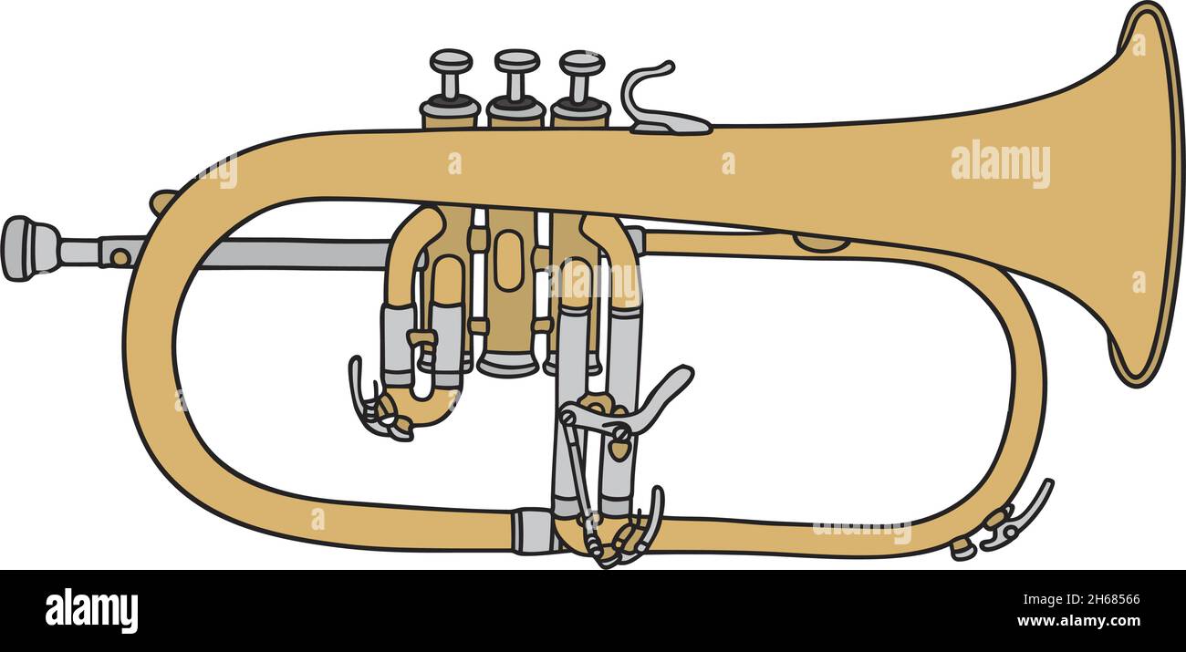 the vectorized hand drawing of a classic trumpet Stock Vector Image ...