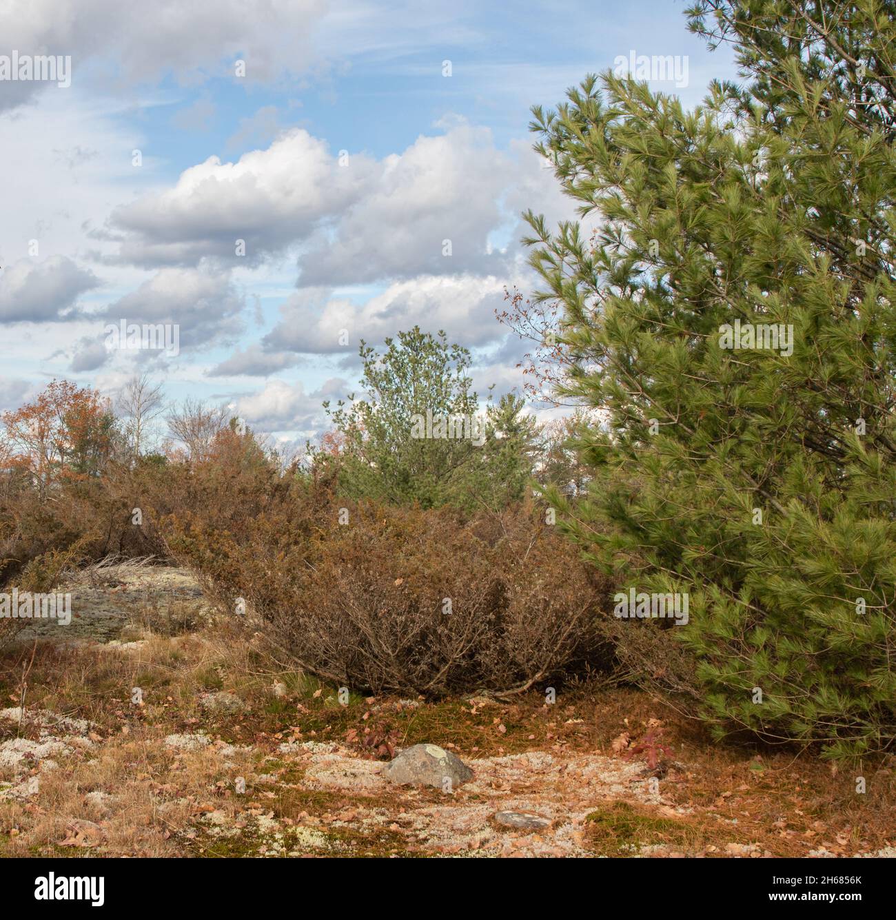 November landscape hi-res stock photography and images - Alamy