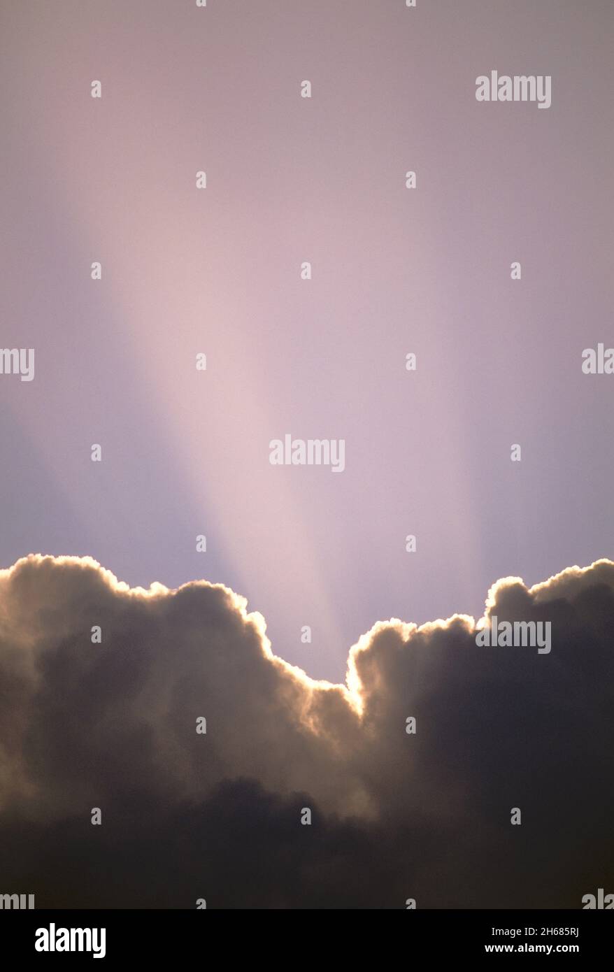 Sunbeam warming hi-res stock photography and images - Alamy