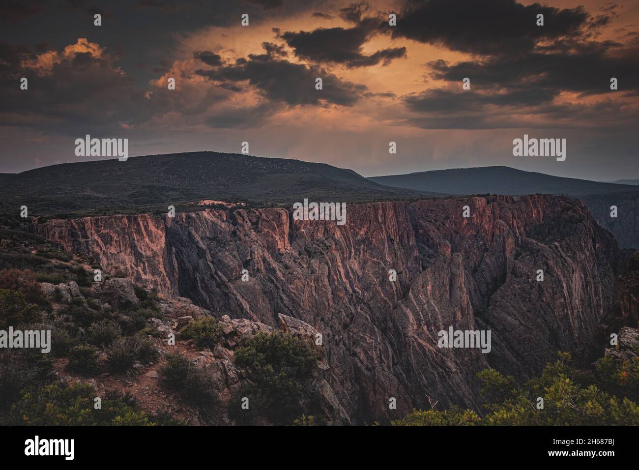 Two Colored Orange High Resolution Stock Photography and Images - Alamy