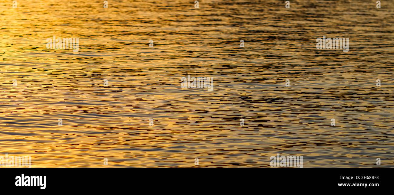 Golden sea waves in sunset glow as surface background. Summer holidays ...