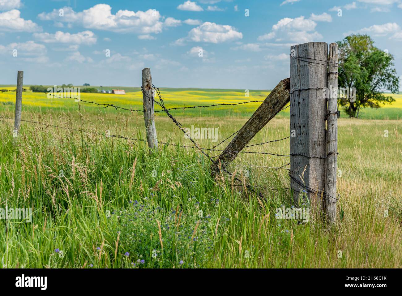 Grass surrounding fence post and fence with an old abandoned barn in ...