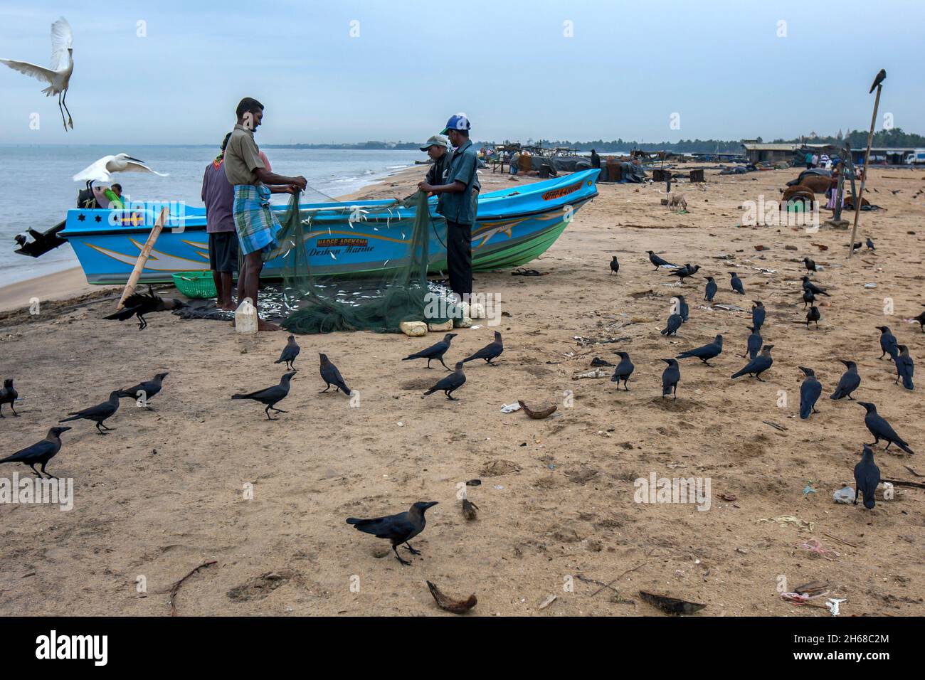 Birds around boat hi-res stock photography and images - Alamy