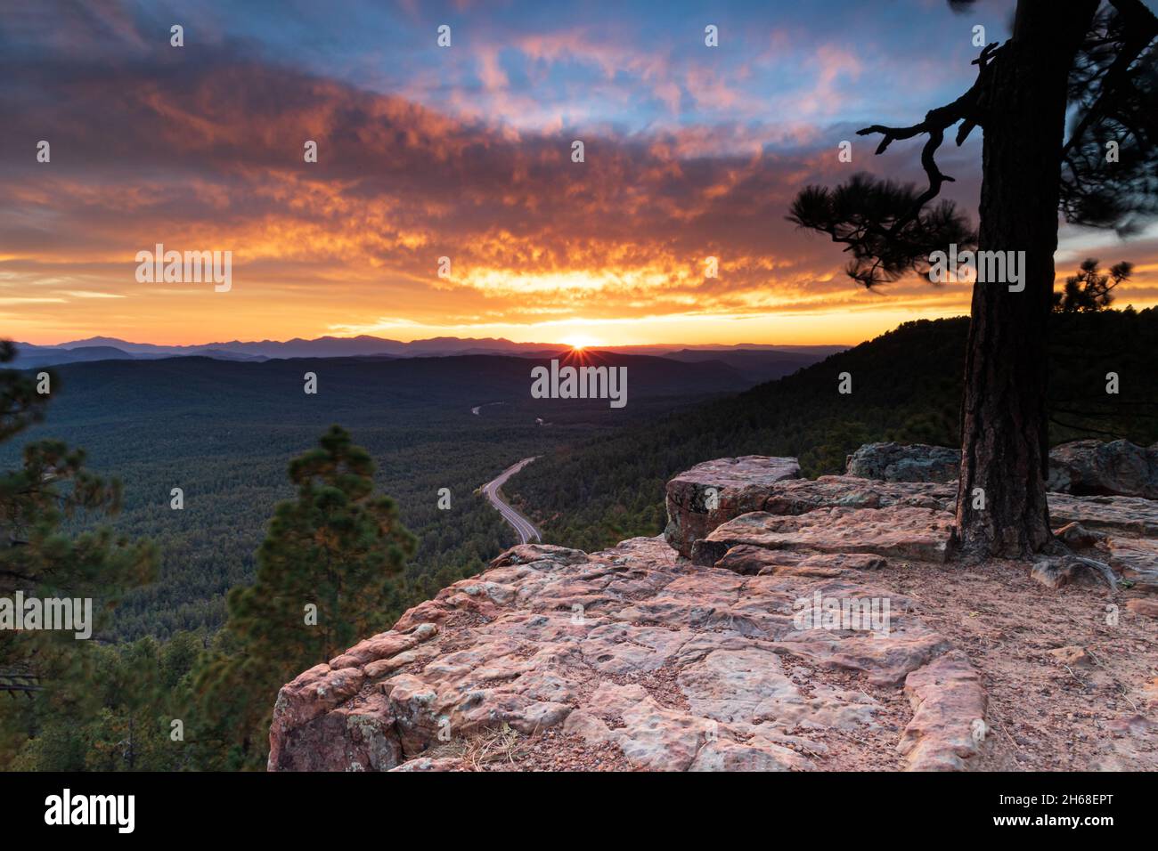 Arizona sunset, from the top of Mogollan Rim above Payson. Pine forest ...