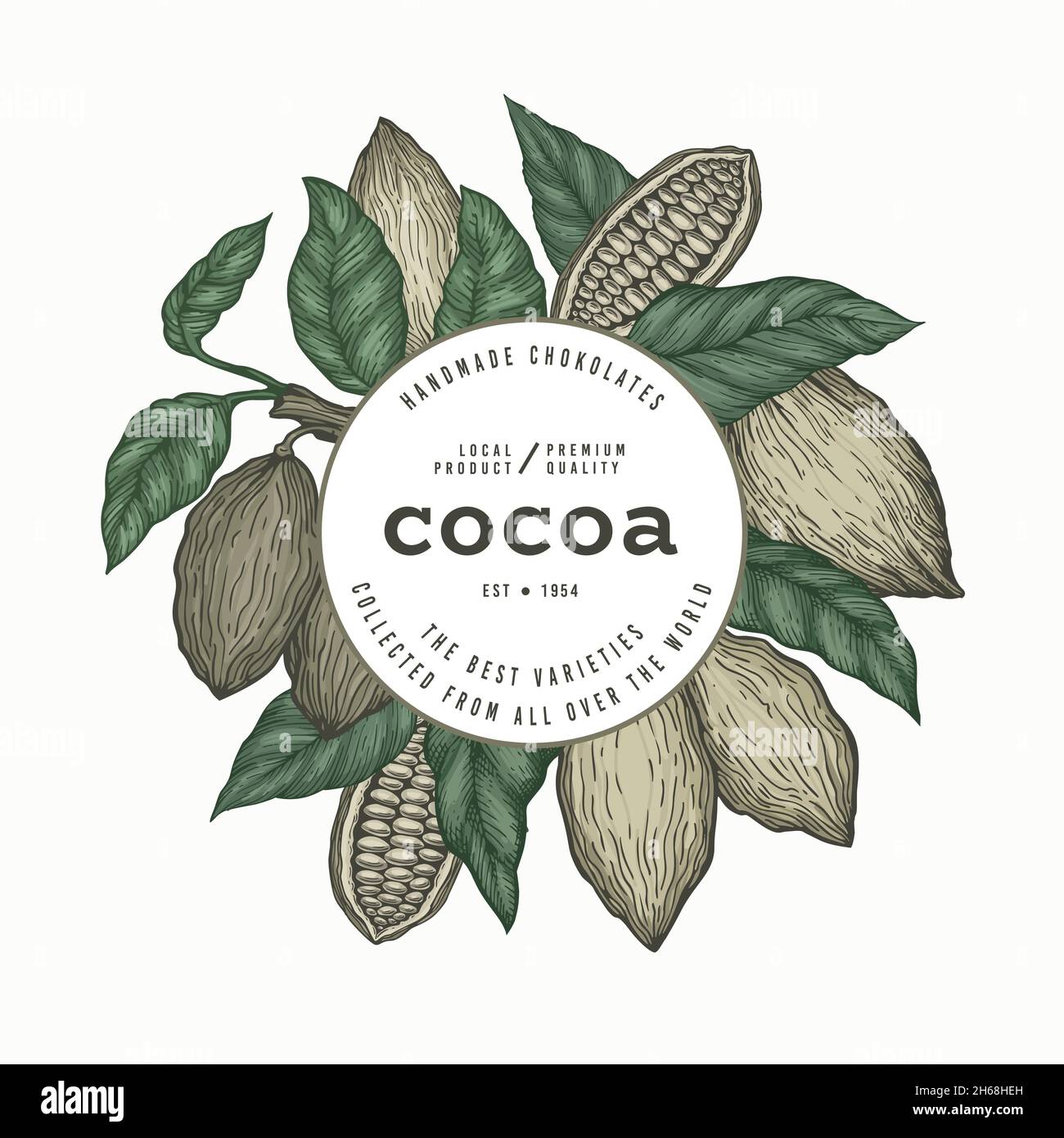 Cocoa color banner template. Chocolate retro cocoa beans background ...