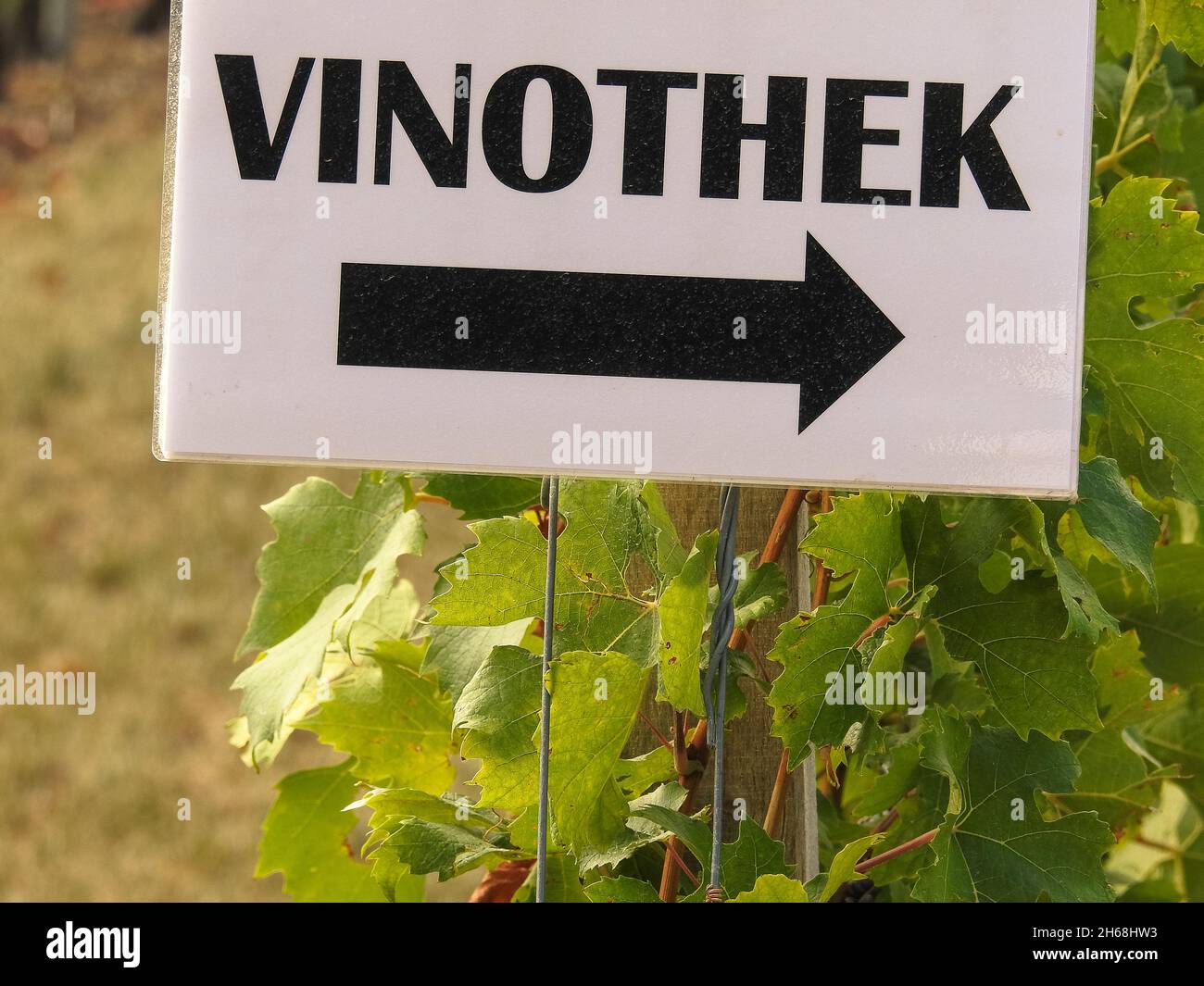 German sign language hi-res stock photography and images - Alamy