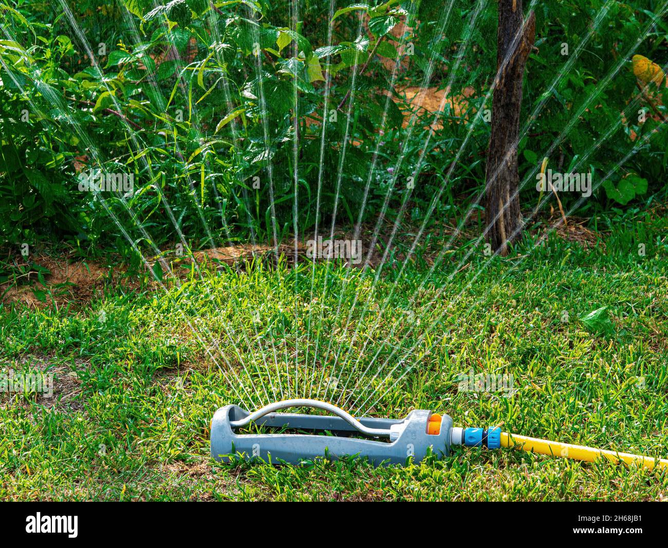 Irrigation system for watering a green grass lawn Stock Photo - Alamy