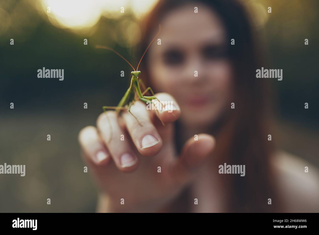 woman in white dress with a praying mantis in hand animals Stock Photo ...