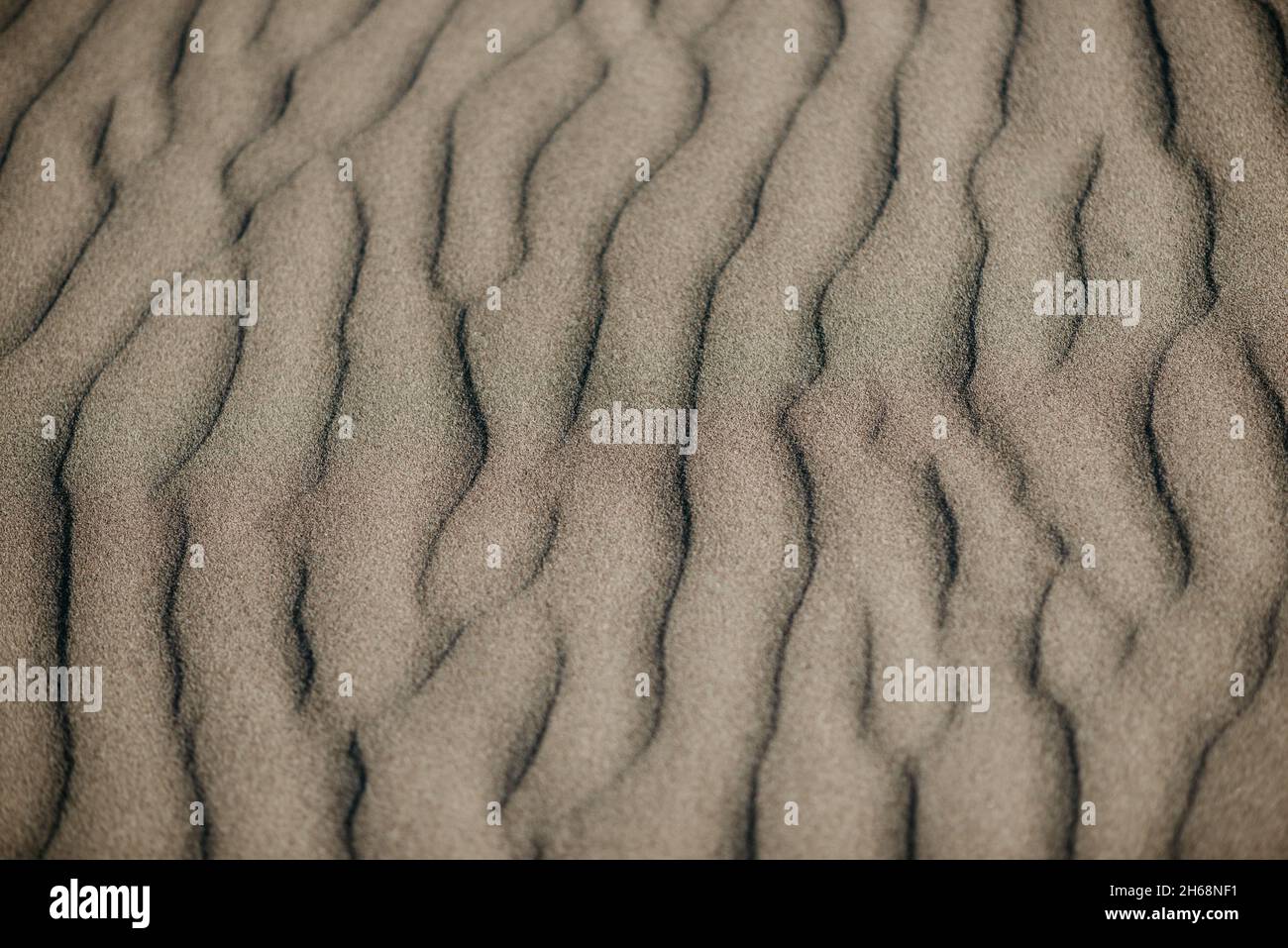 A desert sand texture with thin shadows under the sun Stock Photo - Alamy
