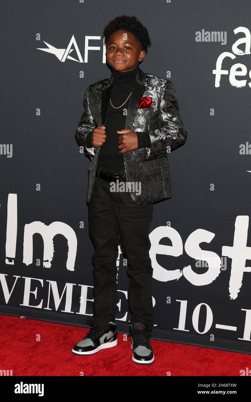 Los Angeles, CA. 13th Nov, 2021. Danny Boyd Jr at arrivals for BRUISED ...