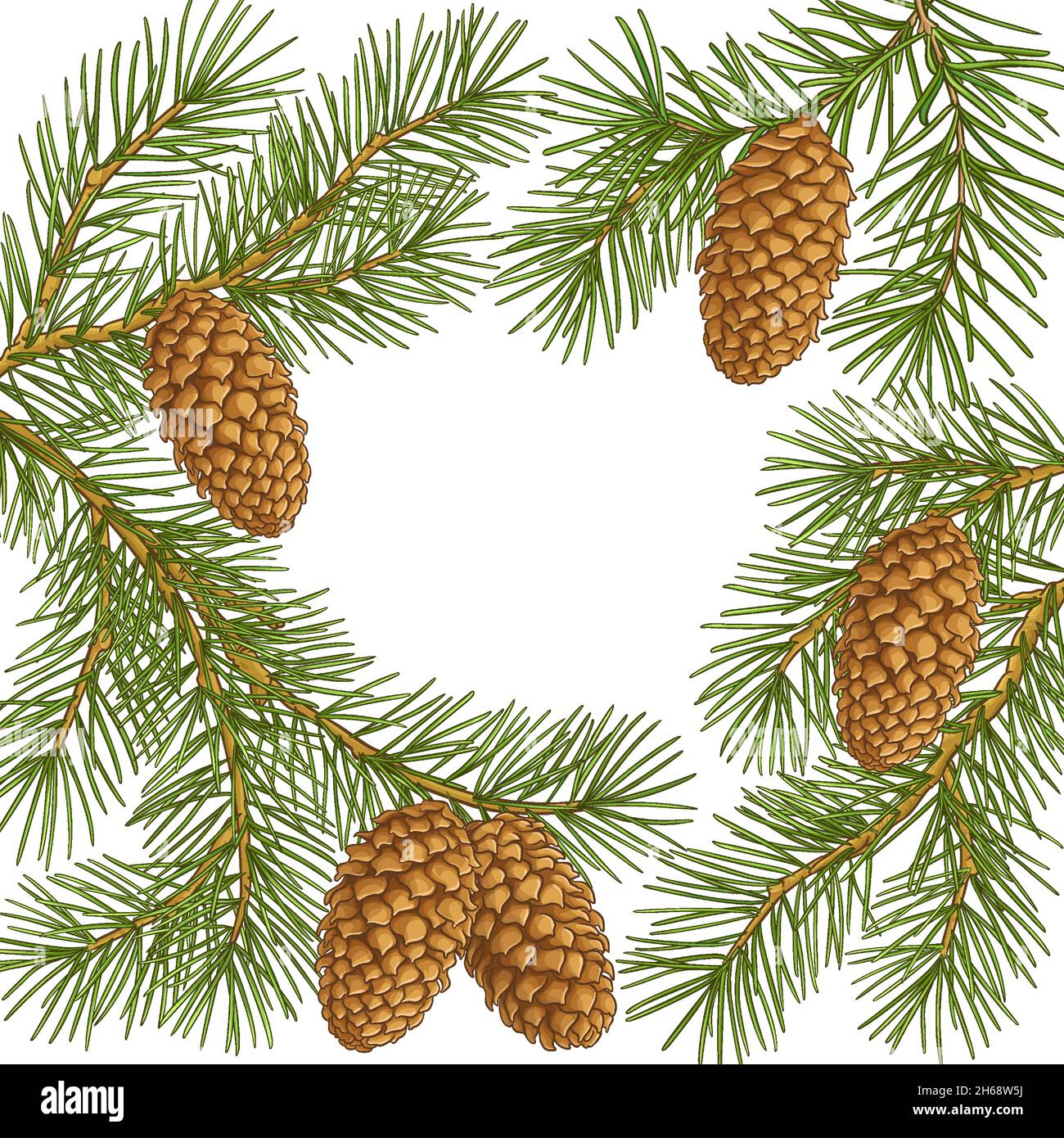 fir tree vector frame on white background Stock Vector Image & Art - Alamy