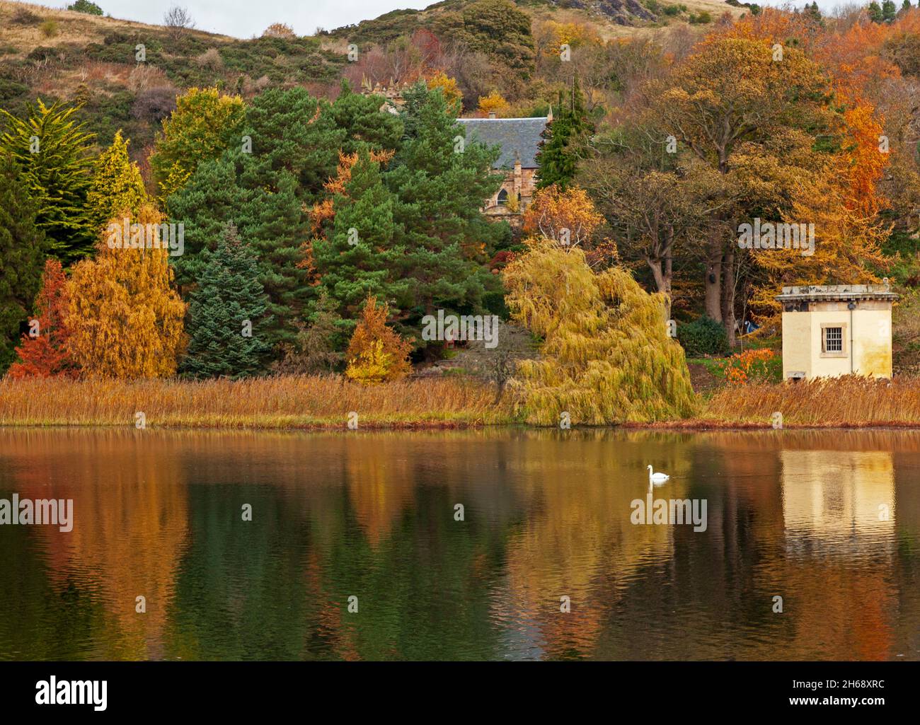 Duddingston Loch Edinburgh, Scotland, UK. 14th November 2021. Cloudy at ...