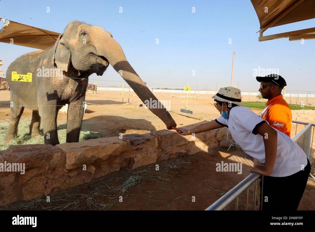 Ahmed the elephant hi-res stock photography and images - Alamy
