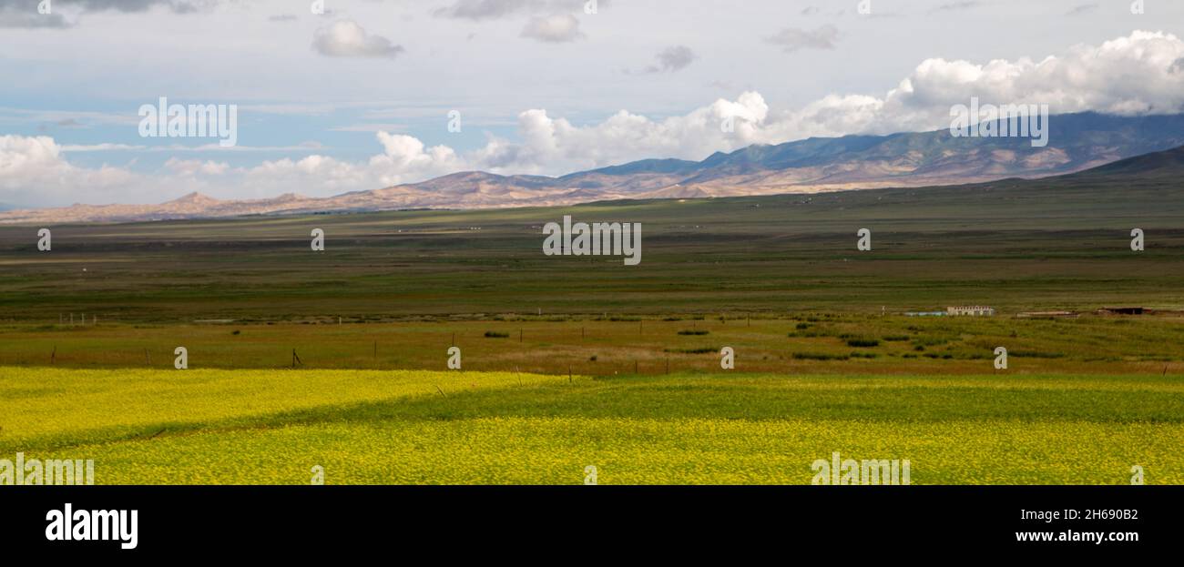 G318 highway hi-res stock photography and images - Alamy